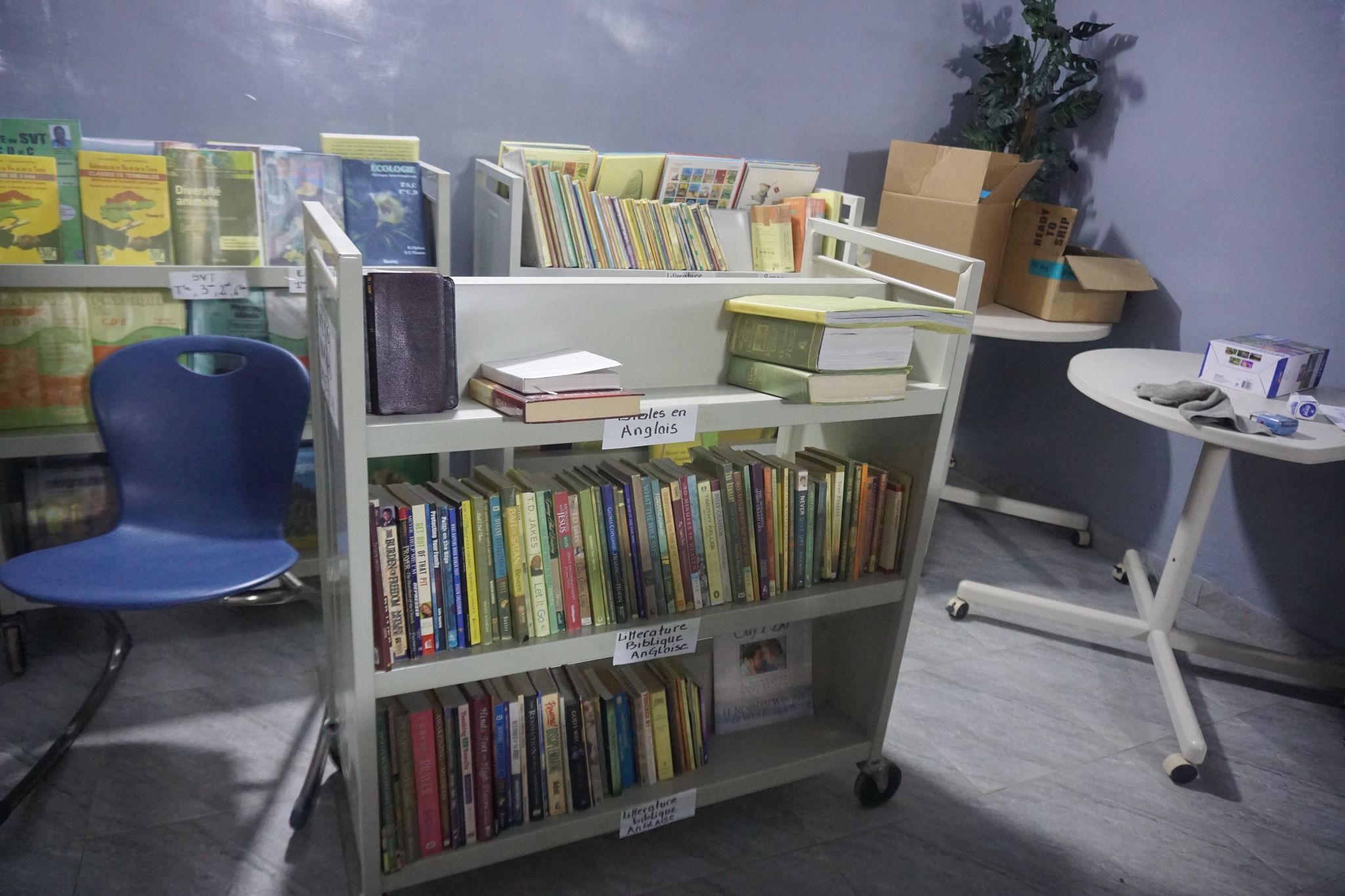 Our Library is Expanding - Impact 4 Life | Empower, Impact and Transform
